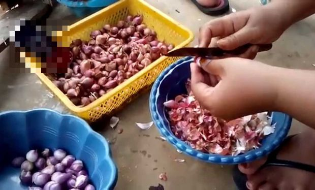 Kena Batang Hidung Sendiri, Jurusolek Sindir ‘Makcik Bawang’ - Semasa ... Kena Batang Hidung Sendiri, Jurusolek Sindir ‘Makcik Bawang’ - Semasa ...