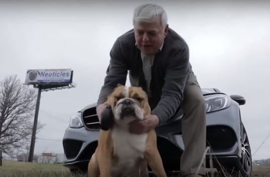 Kaya-raya selepas jual testis palsu anjing - Dunia | mStar